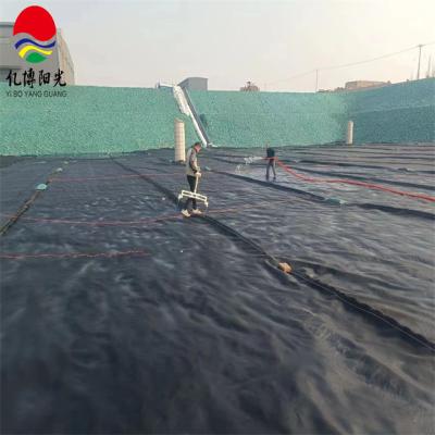Cina Fogli di plastica con rivestimento di geomembrana in HDPE per serbatoi di acqua per l'allevamento di pesci in vendita