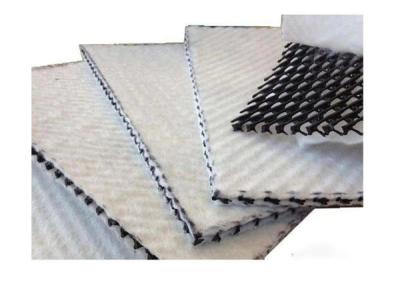 China HDPE composiet drainage netwerk Dimple drain sheet met geotextiel drainage Geonet Te koop
