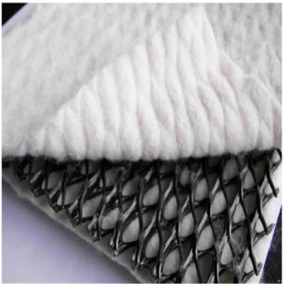 China HDPE composiet drainage netwerk Dimple drain sheet met geotextiel drainage Geonet Te koop