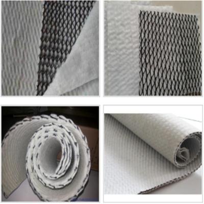 China HDPE composiet drainage netwerk Dimple drain sheet met geotextiel drainage Geonet Te koop