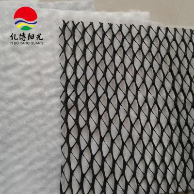 China Ervaar het verschil van onze HDPE Mesh 3D Composite Drainage Geonet voor ander gebruik Te koop