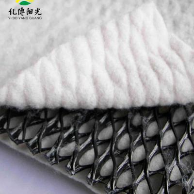 China Ervaar het verschil van onze HDPE Mesh 3D Composite Drainage Geonet voor ander gebruik Te koop