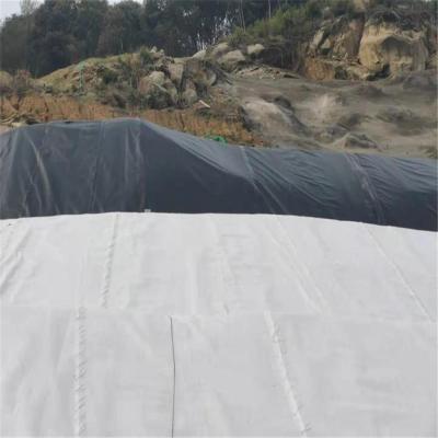 Cina Polipropilene non tessuto Geotessili Progettazione contemporanea per progetti geotecnici in vendita