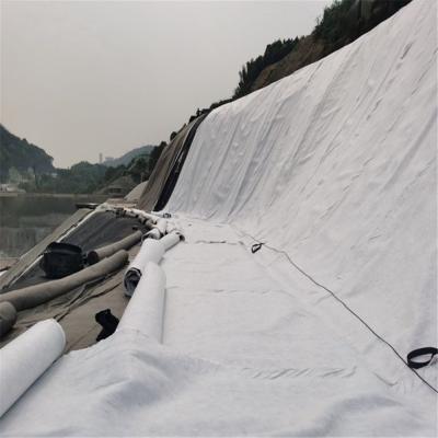 China Rede de drenagem composta Geonet Core 5 mm-12 mm para engenharia de drenagem de longa duração à venda