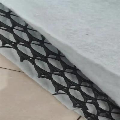 Cina Geonet Geocomposito di plastica HDPE per impianti di drenaggio e protezione in vendita
