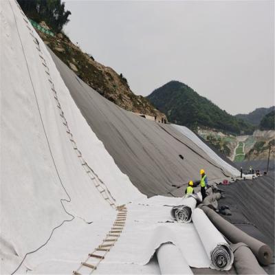 Cina Geomembrana di drenaggio composita per ingegneria del drenaggio lunghezza 50 m/rollo su richiesta in vendita