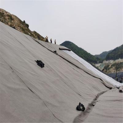 Cina Geomembrana di drenaggio composita per ingegneria del drenaggio lunghezza 50 m/rollo su richiesta in vendita