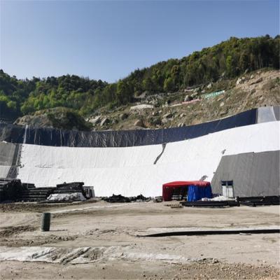 Cina Geomembrana di drenaggio composita per ingegneria del drenaggio lunghezza 50 m/rollo su richiesta in vendita