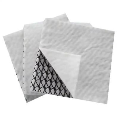 China Drainage Engineering Solution 3D Geocomposite Drainage Mat met 5mm-12mm Geonet Core Te koop