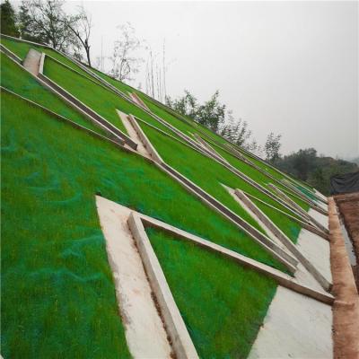 Cina Geomat 3d per la protezione dei pendii in colore verde nero e progettazione di griglie tridimensionali in vendita