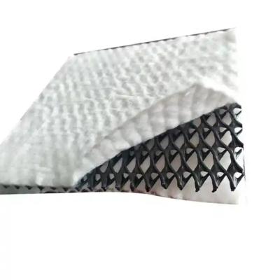 China Drainage matten met HDPE-maas voor een hoge drainage-efficiëntie in 3D-composite drainage netwerken Te koop