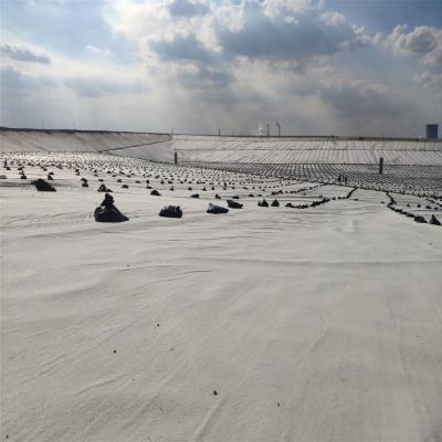 China Drainage matten met HDPE-maas voor een hoge drainage-efficiëntie in 3D-composite drainage netwerken Te koop