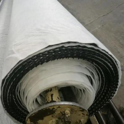 Cina Rete di drenaggio composito Rete di drenaggio HDPE Geonet tappetini geocomposti per isolamento termico in vendita