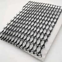 China 3D Composite Drainage Geonet for Greening System and Other Environmental Projects for sale