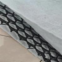 China 3D Composite Drainage Geonet for Greening System and Other Environmental Projects for sale