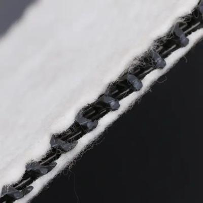 China HDPE-maas 3D-composite drainage geonet voor spoorwegen en snelwegen Andere 4 mm-8 mm dikte Te koop