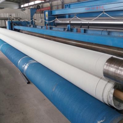 Cina PP PET Geotextile per progetto di discarica Non tessuto Geo tessuto Aglio perforato campione gratuito in vendita