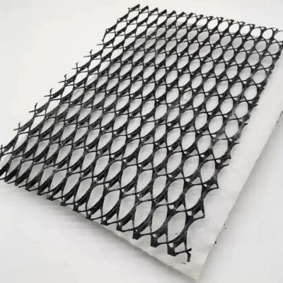 Cina Geonet di drenaggio composito in stile industriale per progetti di costruzione di tunnel in vendita