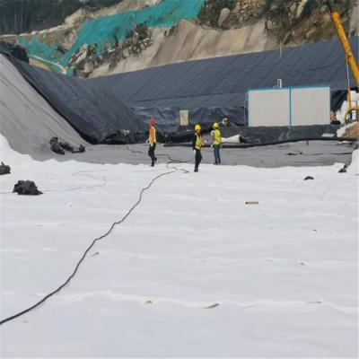 Cina PP PET Geotextile per progetto di discarica Non tessuto Geo tessuto Aglio perforato campione gratuito in vendita