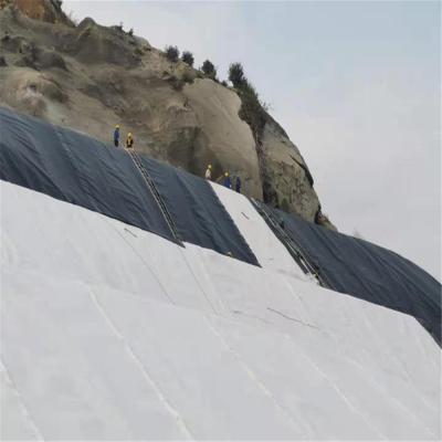 Cina 100-800 g/mq Tessuti geotessili per strade e ferrovie Tessuti non tessuti di poliestere in vendita