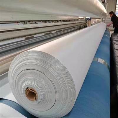 Cina 100-800 g/mq Tessuti geotessili per strade e ferrovie Tessuti non tessuti di poliestere in vendita