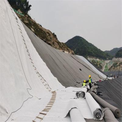 Cina Rete di drenaggio ad alto drenaggio in HDPE 3D Geonet Geocomposite in vendita