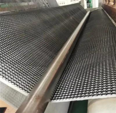 Cina Rete di drenaggio ad alto drenaggio in HDPE 3D Geonet Geocomposite in vendita
