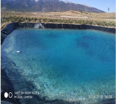 Cina 0.75mm HDPE PVC geomembrana serbatoi circolari per l'allevamento di pesci nella progettazione di uffici in vendita