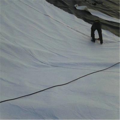 Cina Geonet di drenaggio composito in HDPE 3D con spessore di geotessile non tessuto 0,8 mm-2,0 mm in vendita