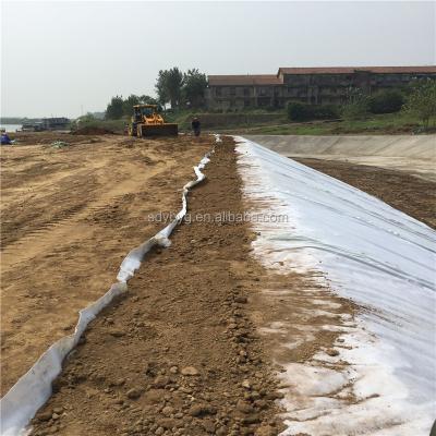Cina Riparazione stradale 300g 400g 600g Poliestere a ago di fibre lunghe perforato Geotessile non tessuto in vendita