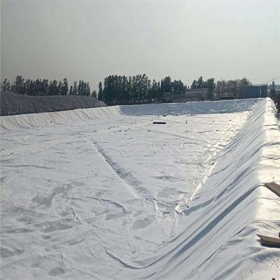 China 200g/400g Geobag não tecido Geotextil Grow Tube Sand Geobag para terra Largura 1-6m à venda