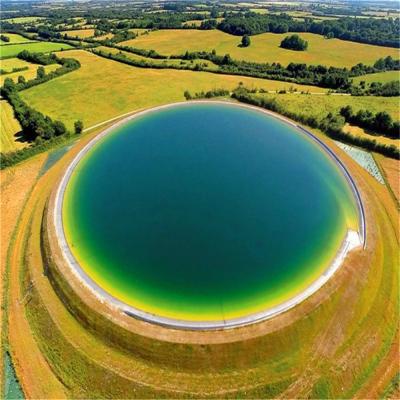 Китай Химически устойчивая геомембрана из HDPE для водоемов рыбоводческих хозяйств продается