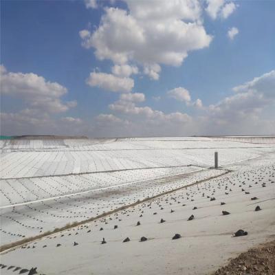 China 100-800 g/m2 PET/PP Niet-geweven geotextiel voor efficiënte wegbouw Te koop