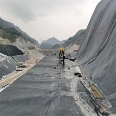 Cina Geomembrana HDPE a superficie ruvida per soluzioni di protezione anti-siccatura in vendita