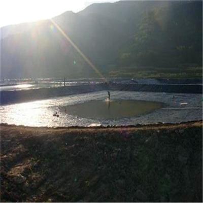 中国 10-50年 寿命 地膜 HDPE 1mm 耐久性 防水性 埋立物 プロジェクト 販売のため