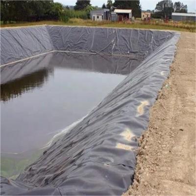 Cina campione di rivestimento in HDPE per stagni di pesce e gamberetti spessore 1 mm larghezza 2-8 m materiale resistente in vendita