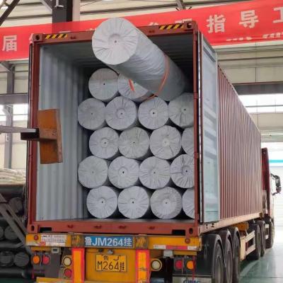 Cina campione di rivestimento in HDPE per stagni di pesce e gamberetti spessore 1 mm larghezza 2-8 m materiale resistente in vendita