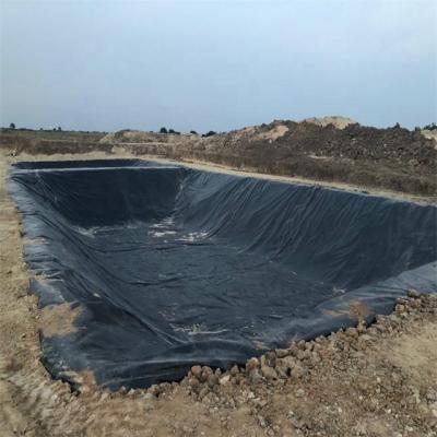 Китай 0.2mm-3mm Толщина GM13 Геомембрана LDPE HDPE для рыбных прудов в ширине 1m-10m продается