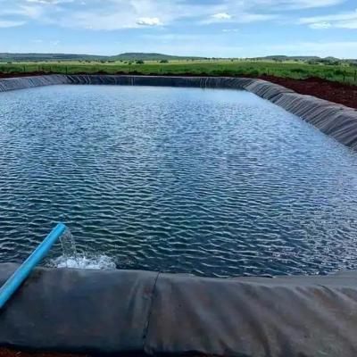 Китай 1 мм антиультрафиолетовый Hdpe Geomembrane Dam Liner для водоемов и аквакультуры рыбоводческих ферм продается