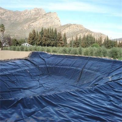 China 1 mm HDPE-Geomembran-Teichfolien für die Aquakultur in Mexiko zu verkaufen