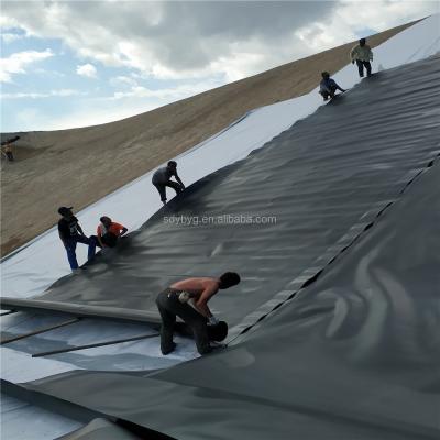Cina Lunghezza 50-200m/roll Geomembrana in HDPE per stagni di pesce in discarica e rivestimento di dighe al massimo in vendita