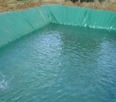 Cina 0.2-2mm Geomembrana in HDPE per acquicoltura resistente ai raggi UV in vendita