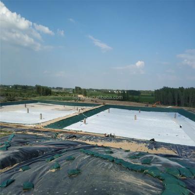 Cina Campione fornito Geomembrana in HDPE da 1 mm per rivestimento di stagni per pesci e discariche 100% vergine in vendita