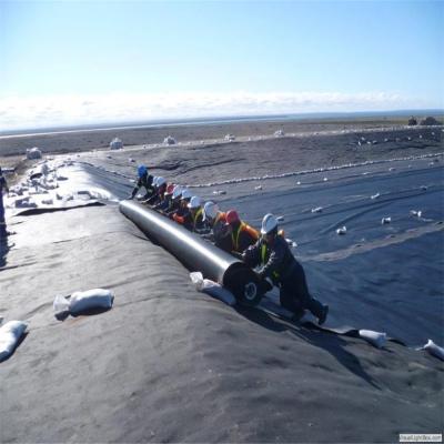 Cina 0.2mm-2mm HDPE Geomembrane Pond Liner per gamberetti e dighe in vendita
