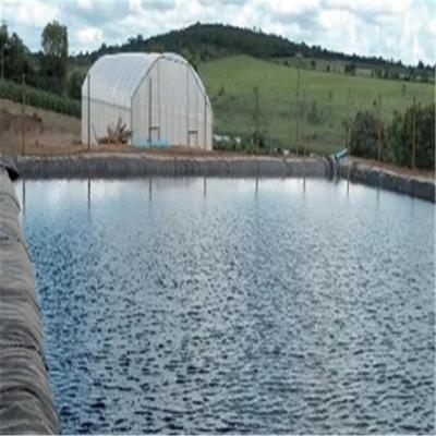 Cina 0.2mm-2mm HDPE Geomembrane Pond Liner per gamberetti e dighe in vendita