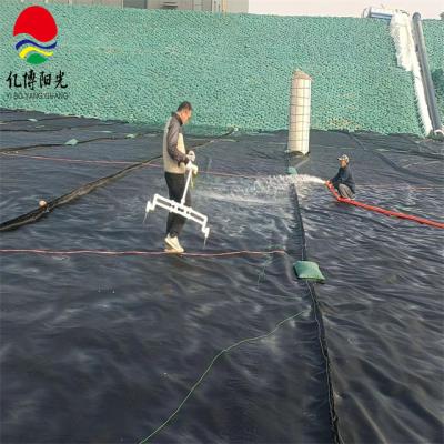 Cina Geomembrane in stile di progettazione industriale per l'installazione facile di rivestimenti per stagni e dighe in vendita