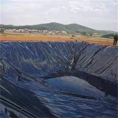 Cina 1 mm 0,3 mm HDPE LLDPE Geomembrane Pond Liner per piscine da giardino Fish Farm Facile da installare in vendita