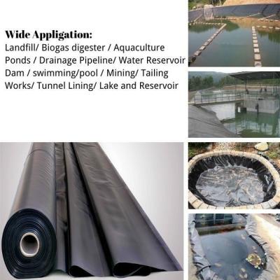Cina 1 mm 0,3 mm HDPE LLDPE Geomembrane Pond Liner per piscine da giardino Fish Farm Facile da installare in vendita
