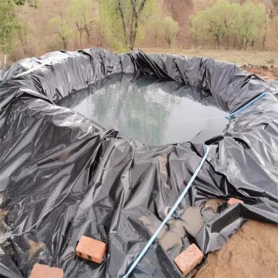 Cina Geomembrana in HDPE verde di larghezza da 1 a 8 m per rivestimenti di stagni di piscine di pesci rinforzati anti-siquea in vendita