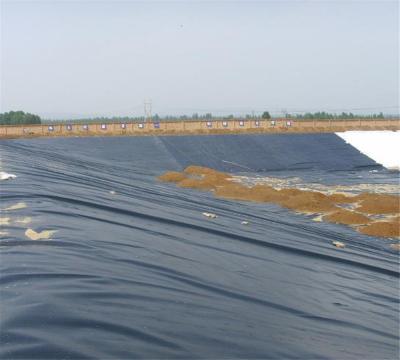 Cina 2m-8m Larghezza Geomembrana HDPE Dam Liner Fish Farm Pond Geomembrane di plastica in vendita